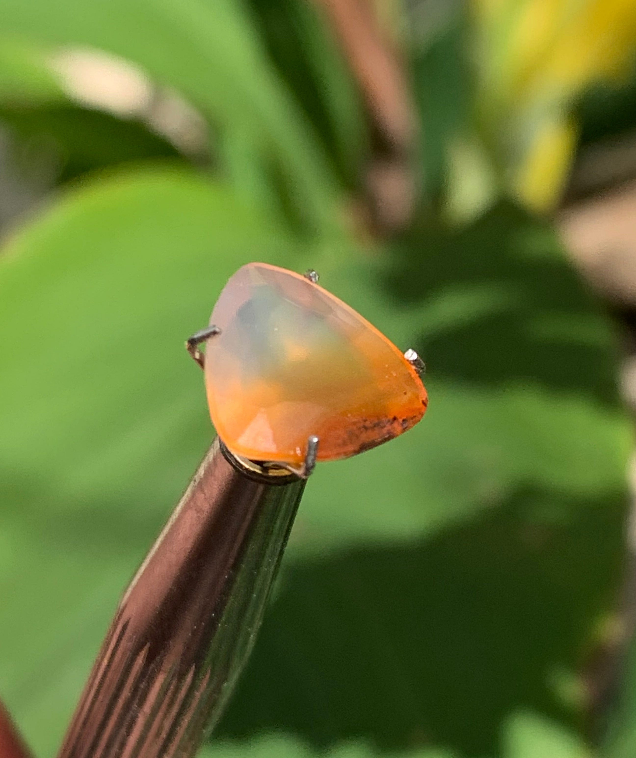 Cornaline, pierre fine taillée de 10mm x10 x4 - 2,5 carats. Parfait en ...